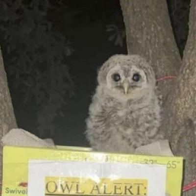 Runn1ngMan23's Team on Sleeper